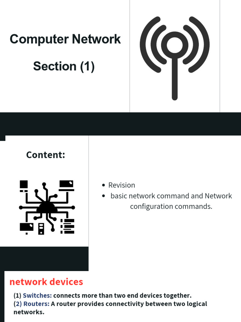 Computer Network Basics Guide | PDF