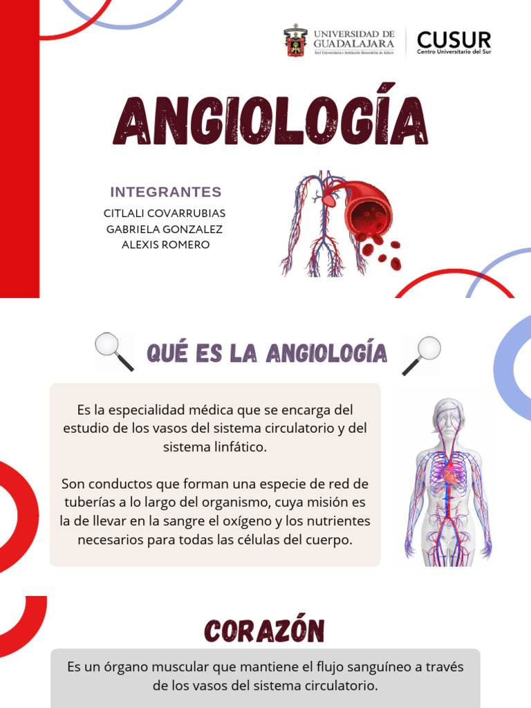 ANGIOLOGÍA Presentacion | PDF | Aorta | Sistema circulatorio