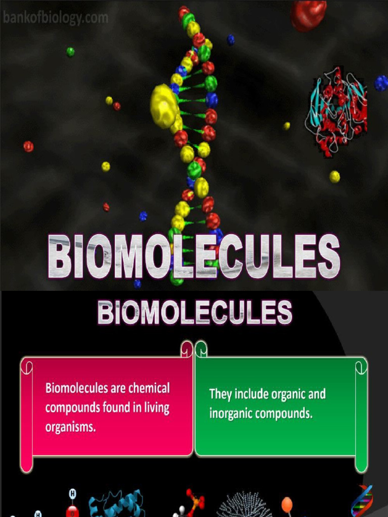 Biomolecules-PPT | PDF