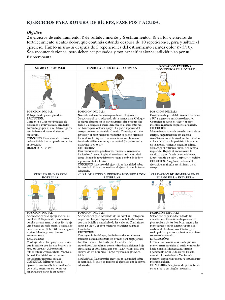 Ejercicios para Rotura Del Biceps | PDF | Hombro | Codo