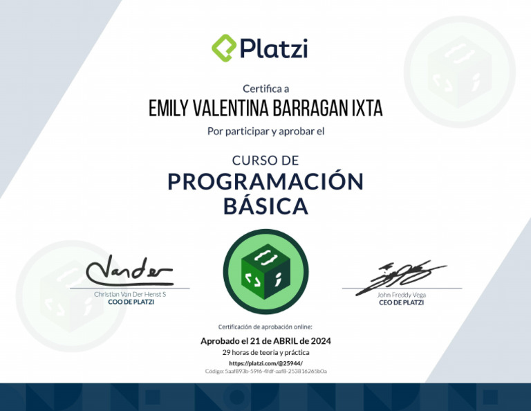 Diploma Programacion Basica | PDF