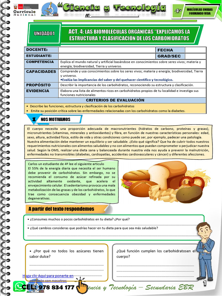 Ciencia y Tecnología - Secundaria EBR: Nos Motivamos | PDF | Polisacárido | Carbohidratos