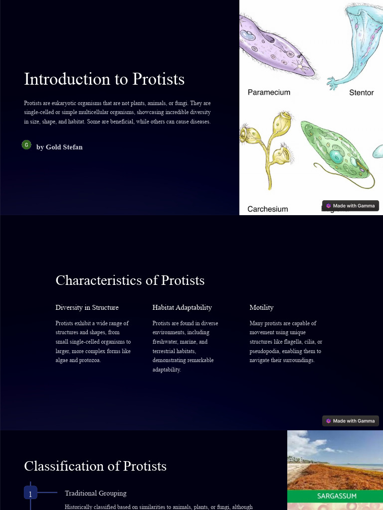 Understanding Protists: Diversity & Impact | PDF | Biodiversity | Organisms