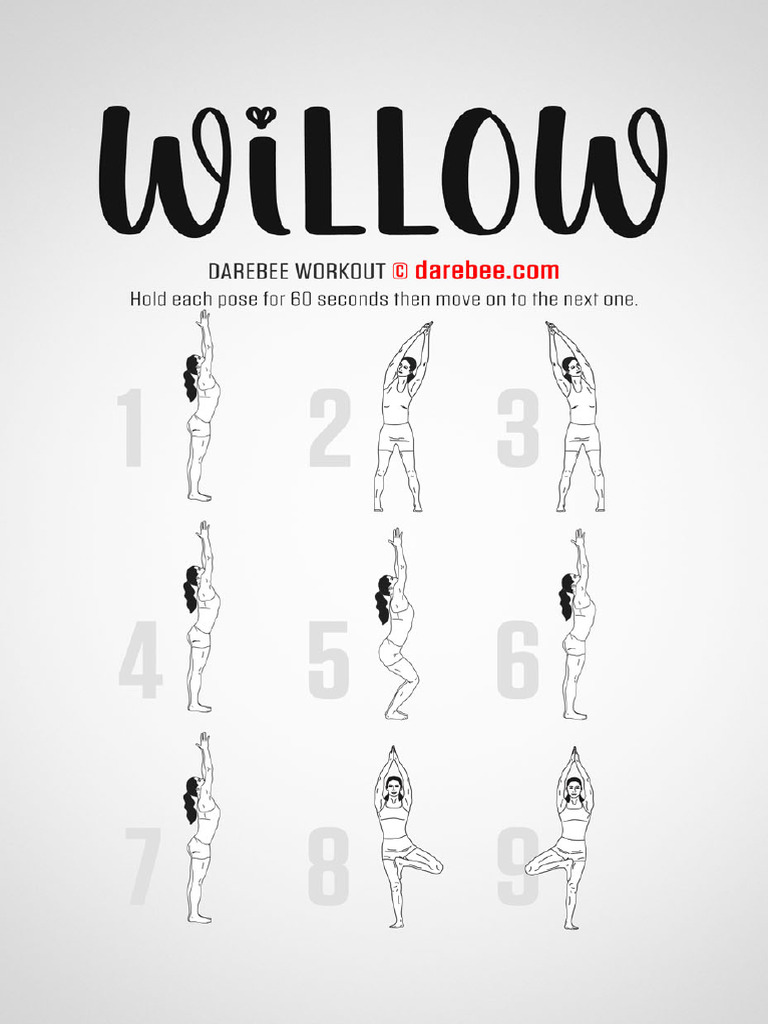 Willow Workout | PDF