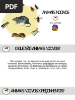 Lista de Animais de A a Z | PDF | Natureza