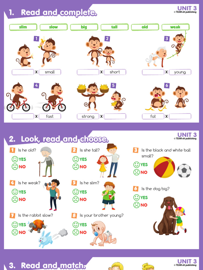 3 Worksheets Unit3 | PDF