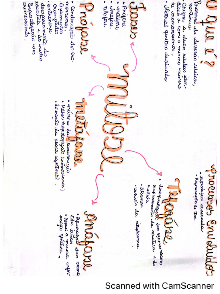 Mapa Mental Meiose E Mitose Pdf