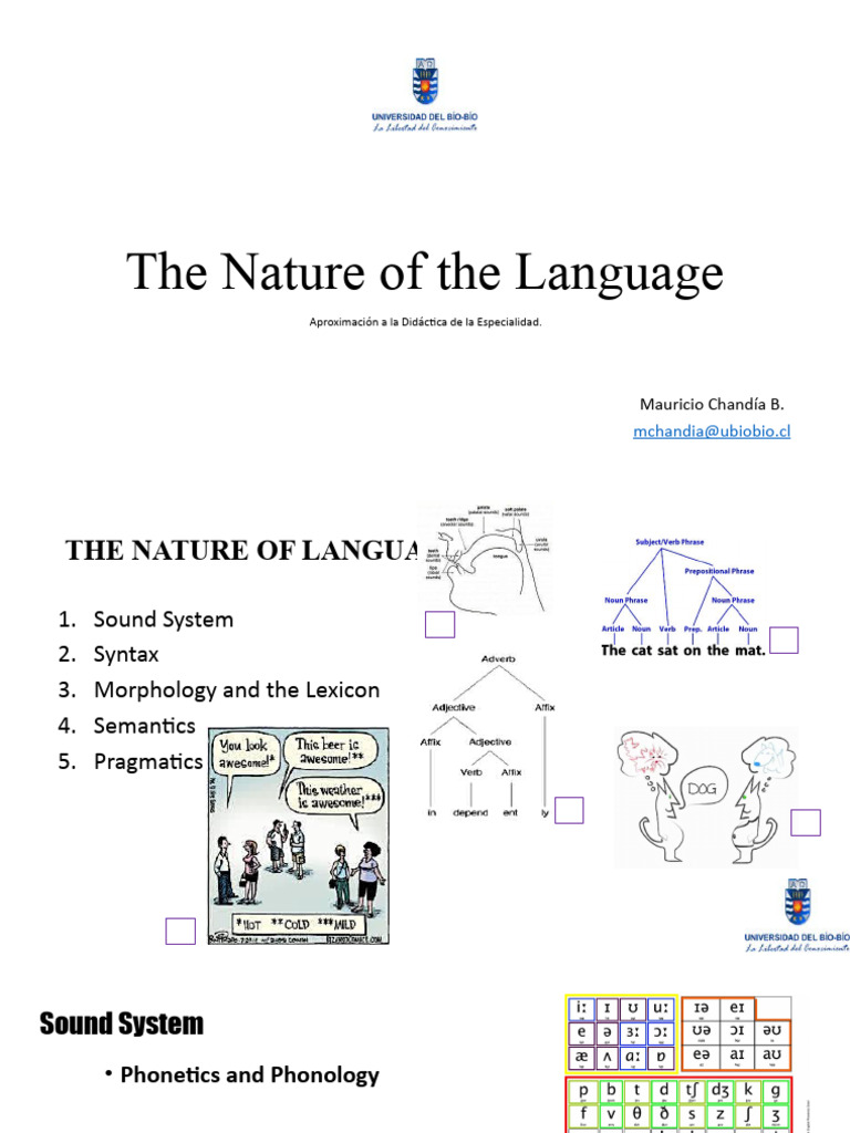The Nature of Language | PDF | Word | Morphology (Linguistics)