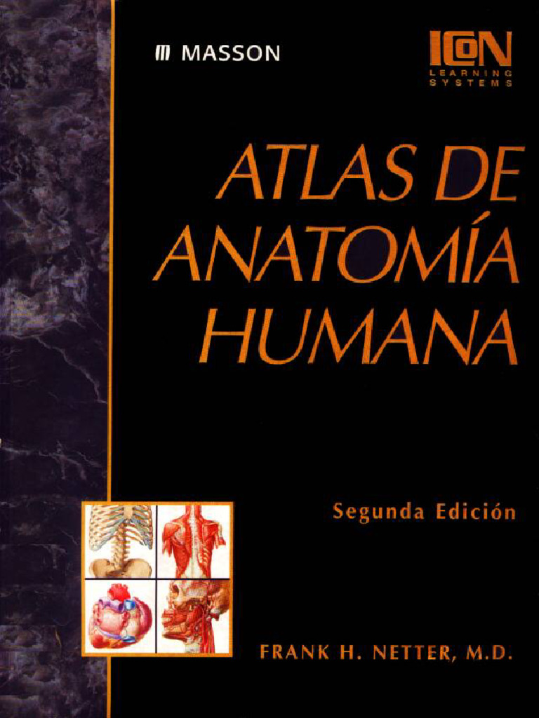 Atlas de Anatomia | PDF
