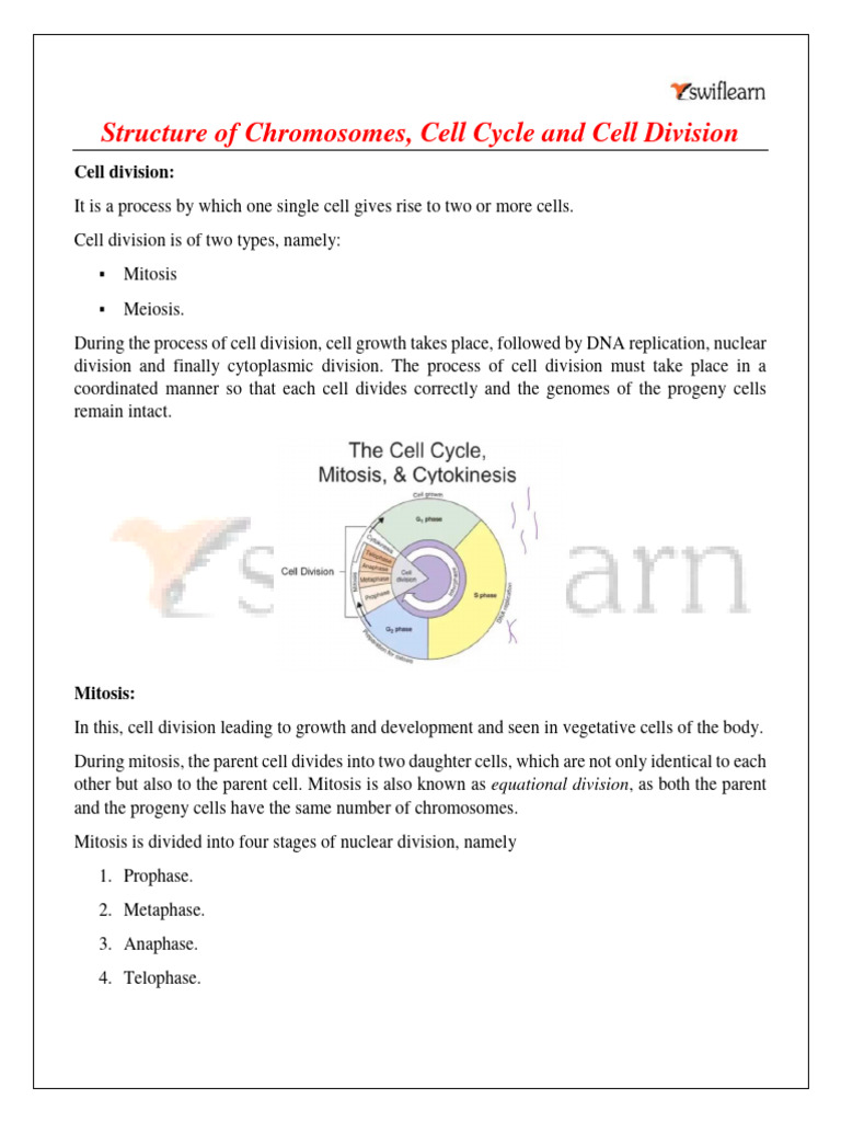 Structure-of-Chromosomes-Cell-Cycle-and-Cell-Division | PDF | Meiosis | Mitosis