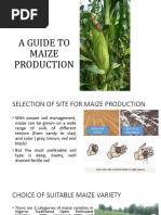 Crop Growth Chart - Maize: Stage VE V2 V5 V8 V12 V16 R1 R5 | PDF