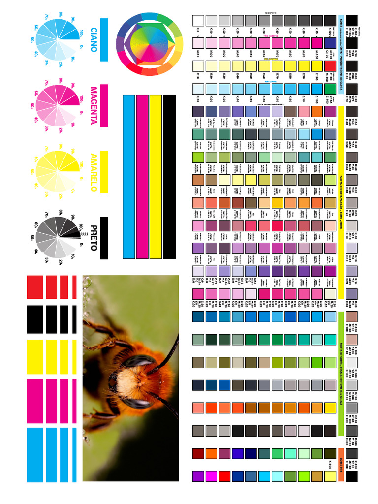 Testprint - 14 Páginas em PDF | PDF