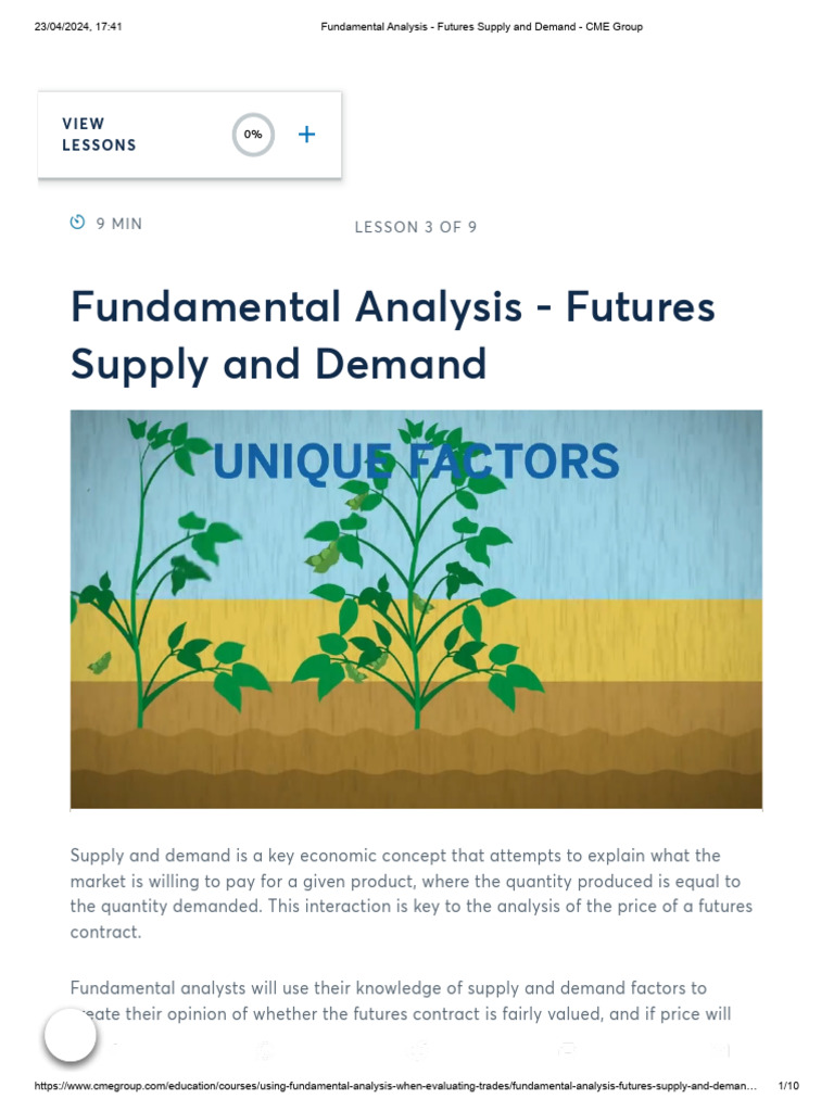 Fundamental Analysis - Futures Supply and Demand - CME Group | PDF ...