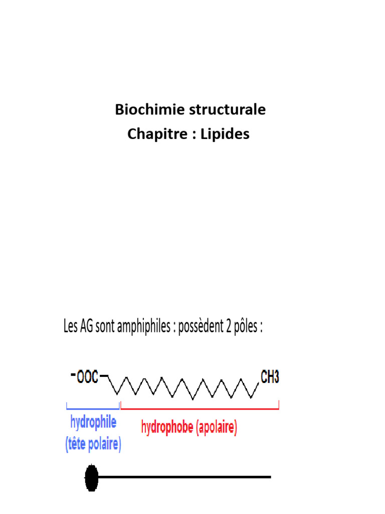 Biochimie Structurale - Lipides 2021-2022 - VE | PDF | Lipide | Acide gras