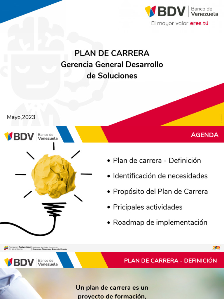 Plan de Carrera | Descargar gratis PDF | Innovación | Business
