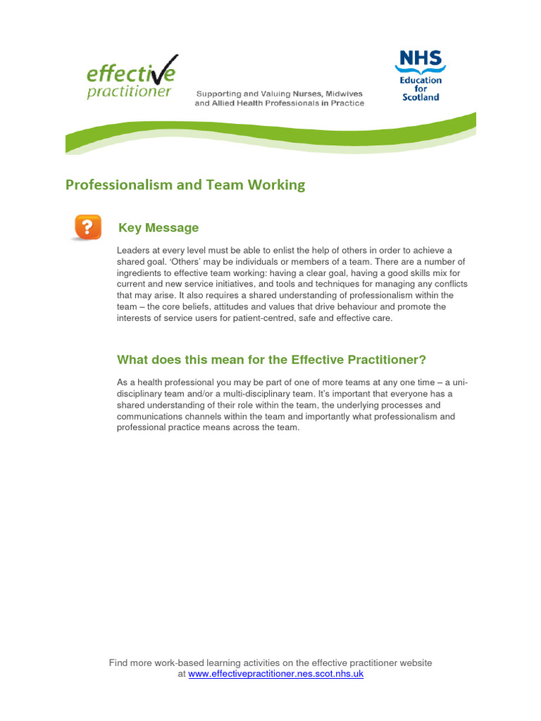 Learning-Activities-Professionalism-Teamworking Jan 27 | PDF ...