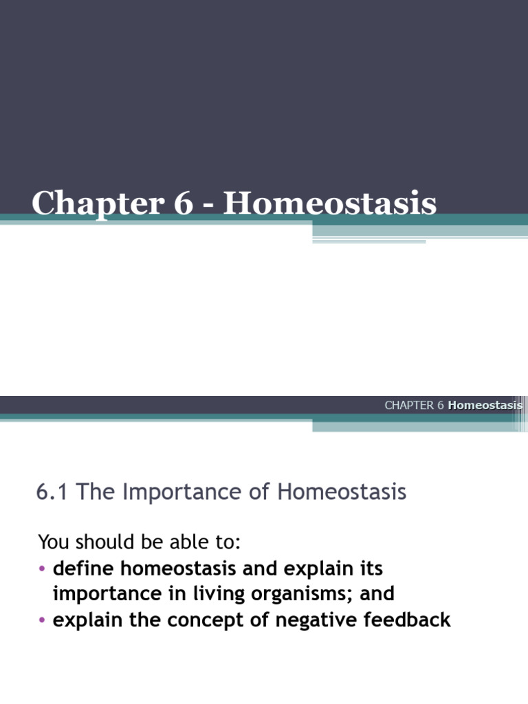 Chapter 06 - Homeostasis | PDF | Homeostasis | Skin