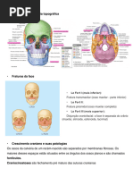 Anatomia da Irrigação e Inervação Facial | PDF | Anatomia humana ...