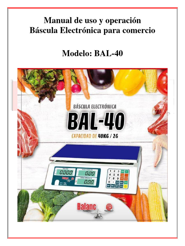 Metrology (Balance) BAL-40 | PDF