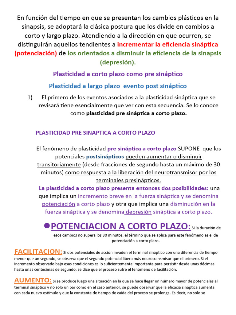 Plasticidad Sináptica: Corto y Largo Plazo | PDF | Sinapsis ...