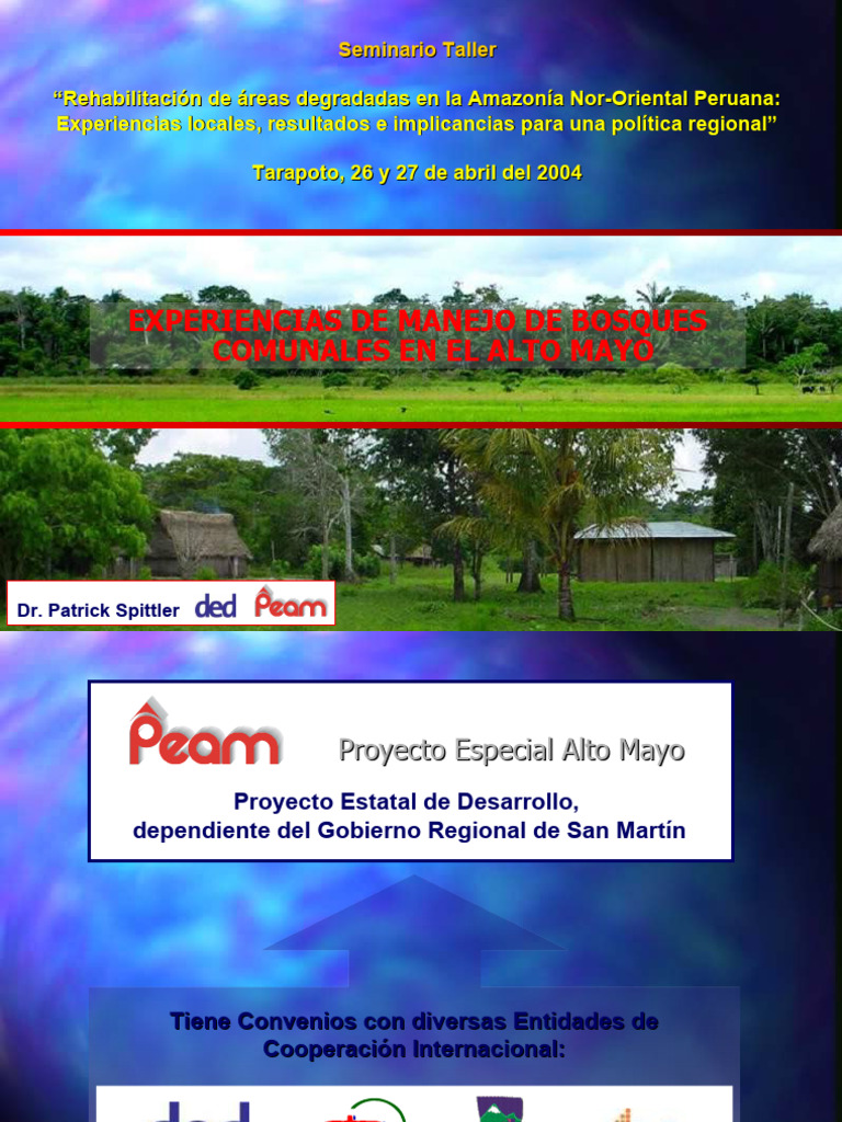 Present. Patrick Spitler | PDF