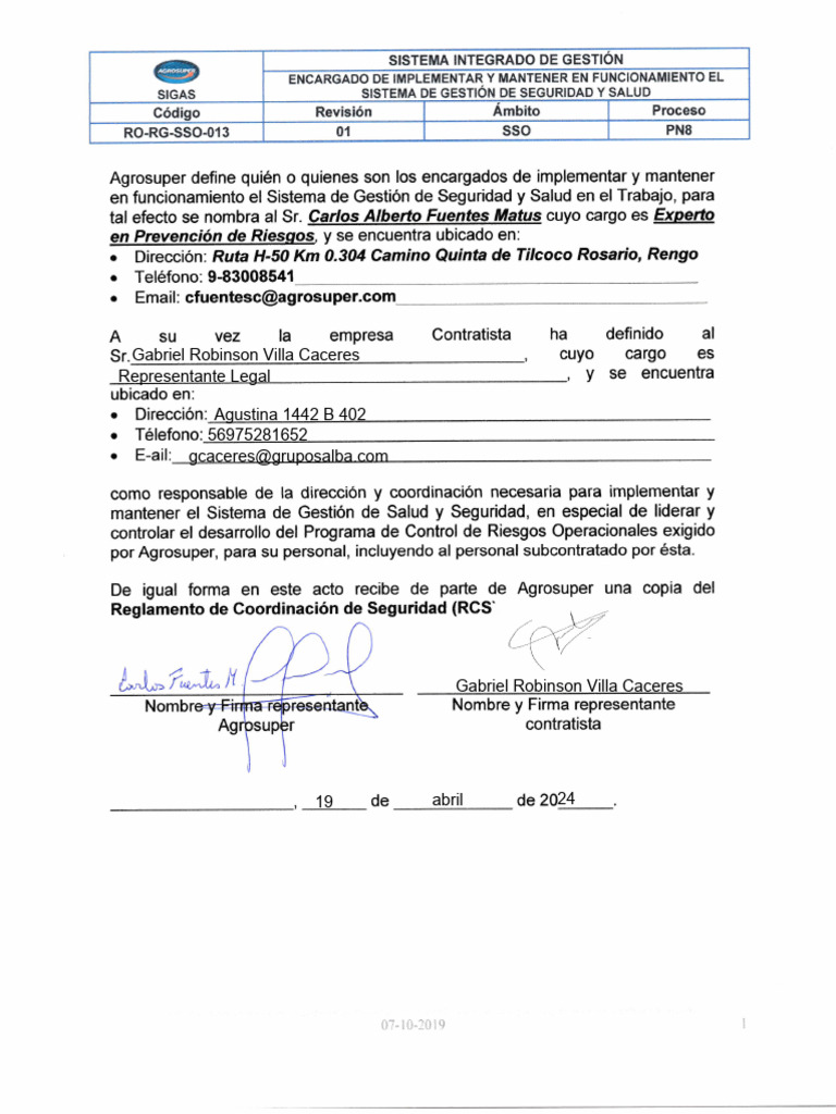 04. Encargado de Implementar SGSS (CVP) Grupo Salba Spa | PDF