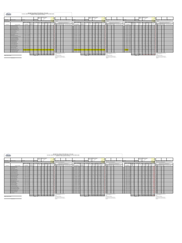 Planilla Afp C Rap 30y31 0816 Blanco Pdf