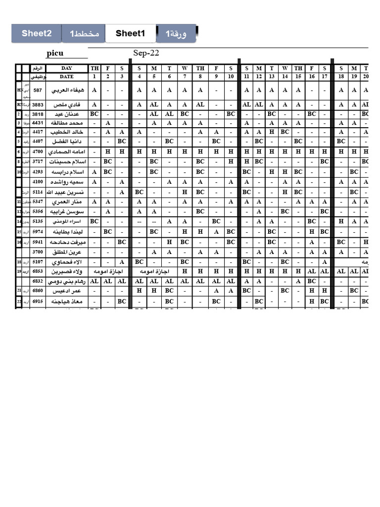 Sheet2 1ططخم 1ةقرو | PDF