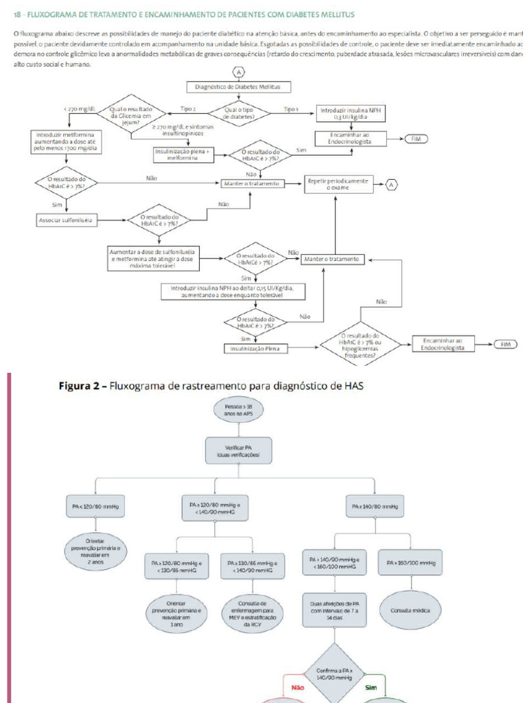 Fluxograma Da Saude Do Sus | PDF