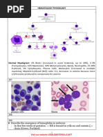Tocolytic Agents: Mechanisms & Side Effects | PDF | Drugs | Pharmacology