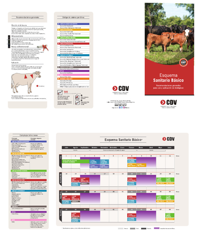 CDV Folleto Plan Sanitario | PDF
