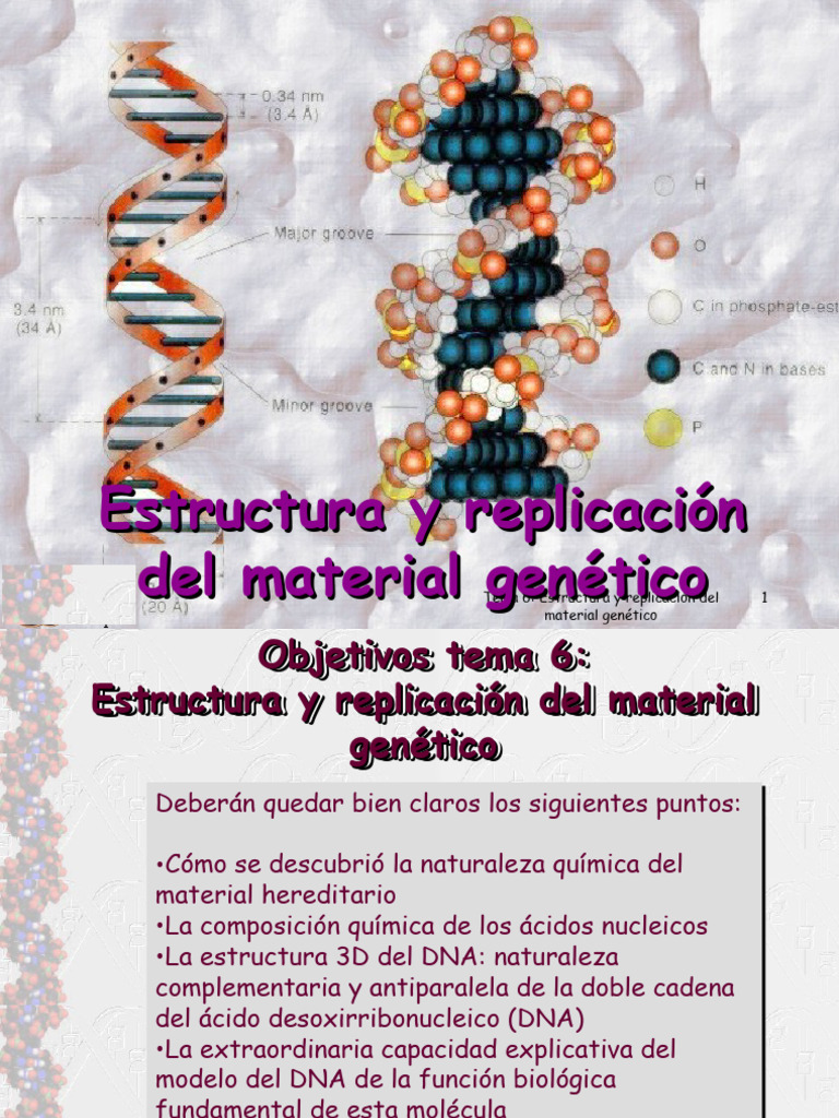 Adn Tipos 2019 | PDF | Adn | Replicación De Adn