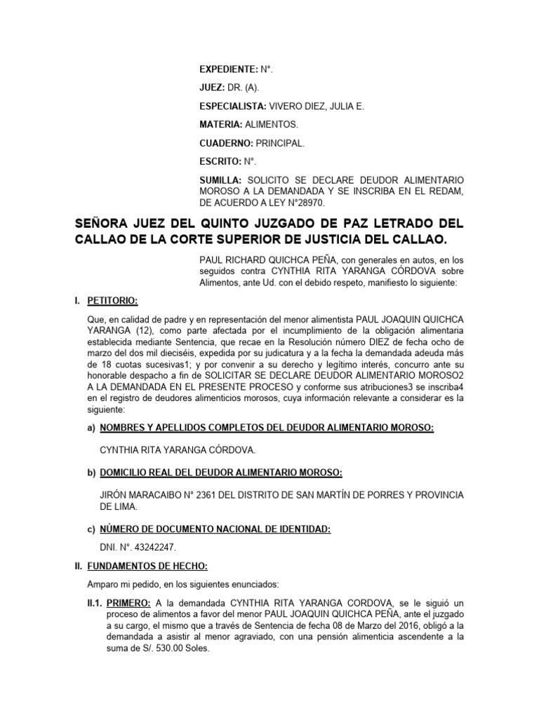 Modelo de Solicitud de Inscripción Al Redam | PDF | Gobierno | Justicia
