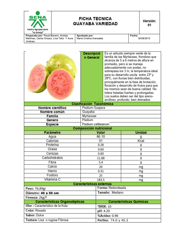 173896166 Guayaba Ficha Tecnica | PDF