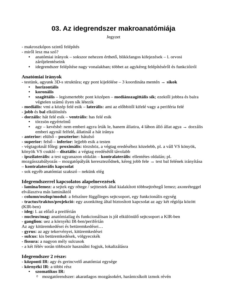 KIR Makroanatómiája Jegyzet | PDF