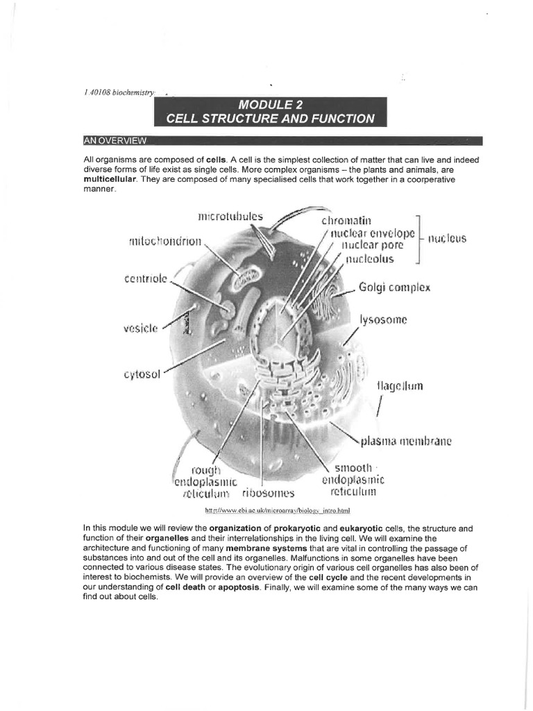 Module 2 - Cell, Structure and Function | PDF