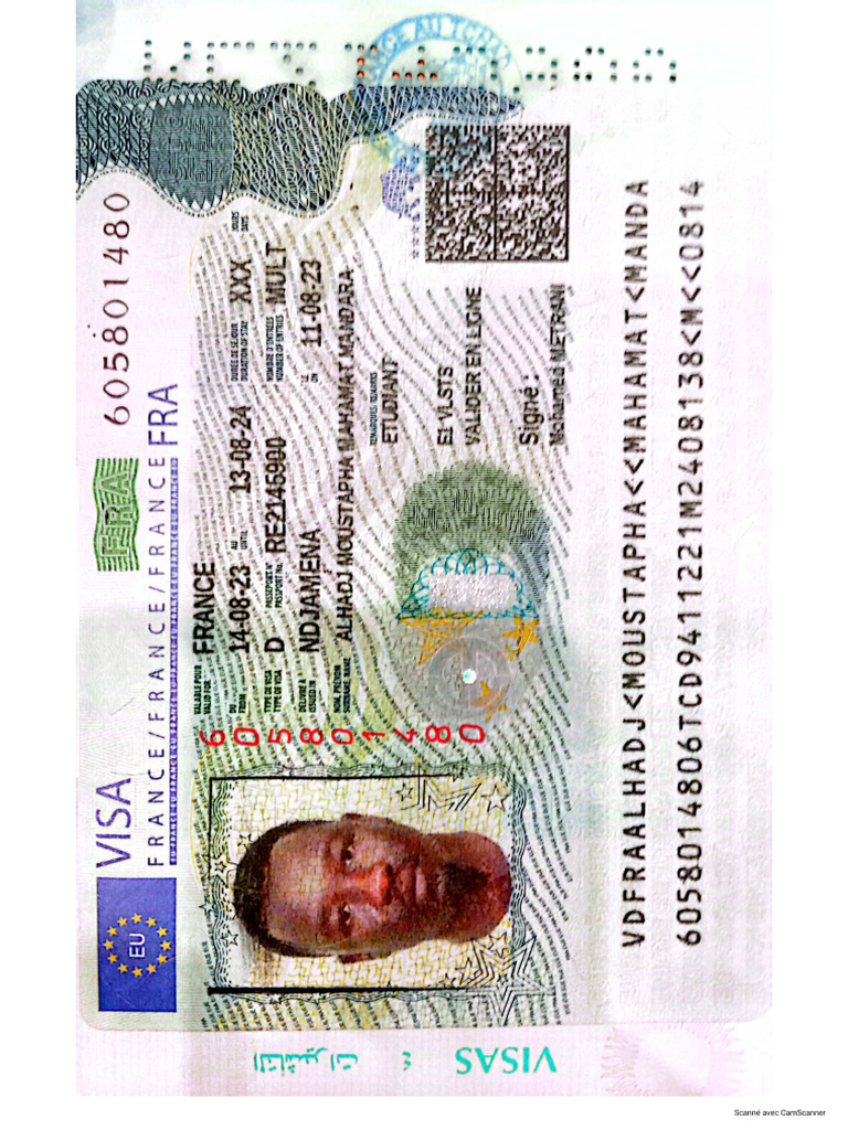 Visa | PDF