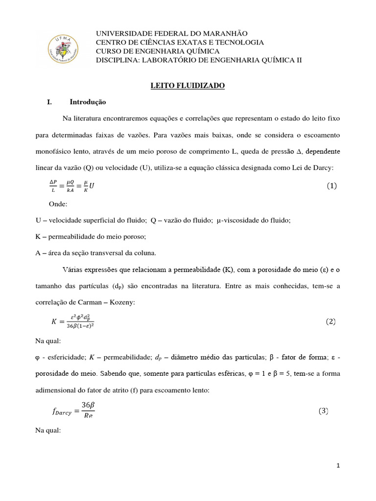 Roteiro Leito Fluidizado | PDF | Mecânica | Ciências Físicas