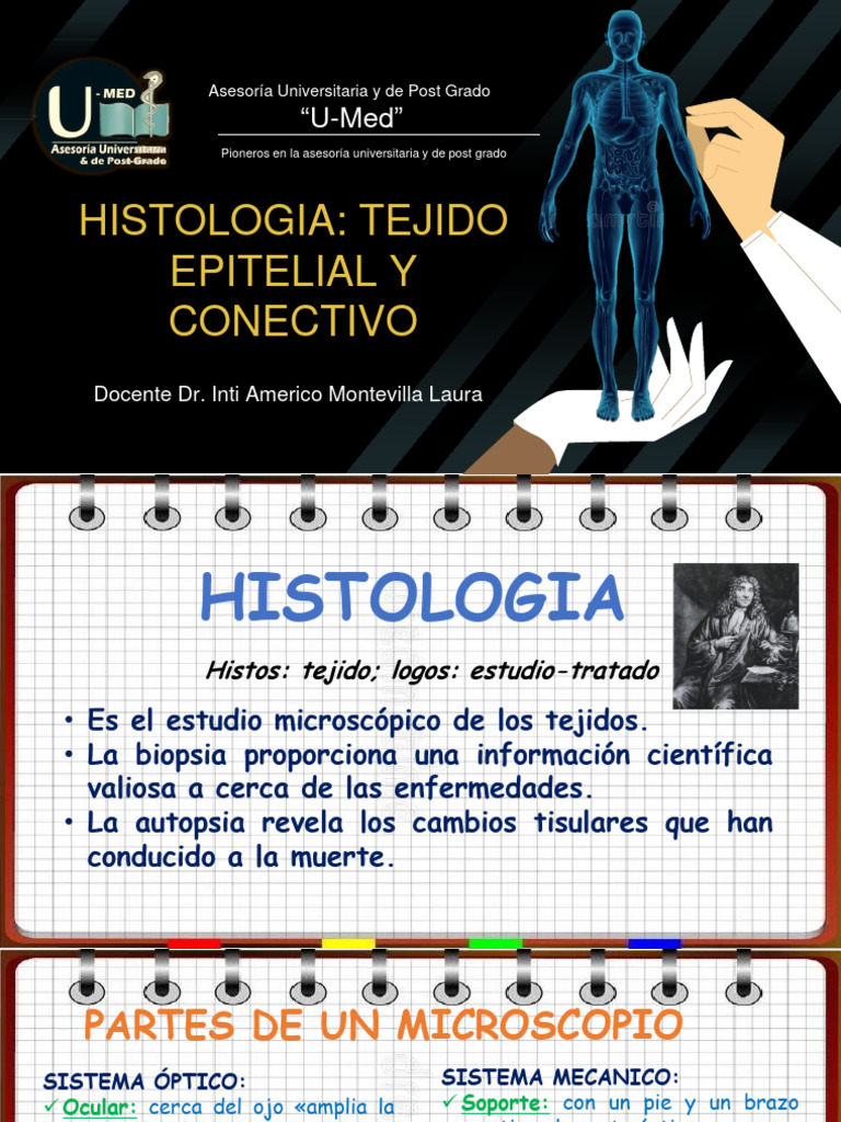 6. HISTOLOGIA | PDF | Epitelio | Tejido conectivo