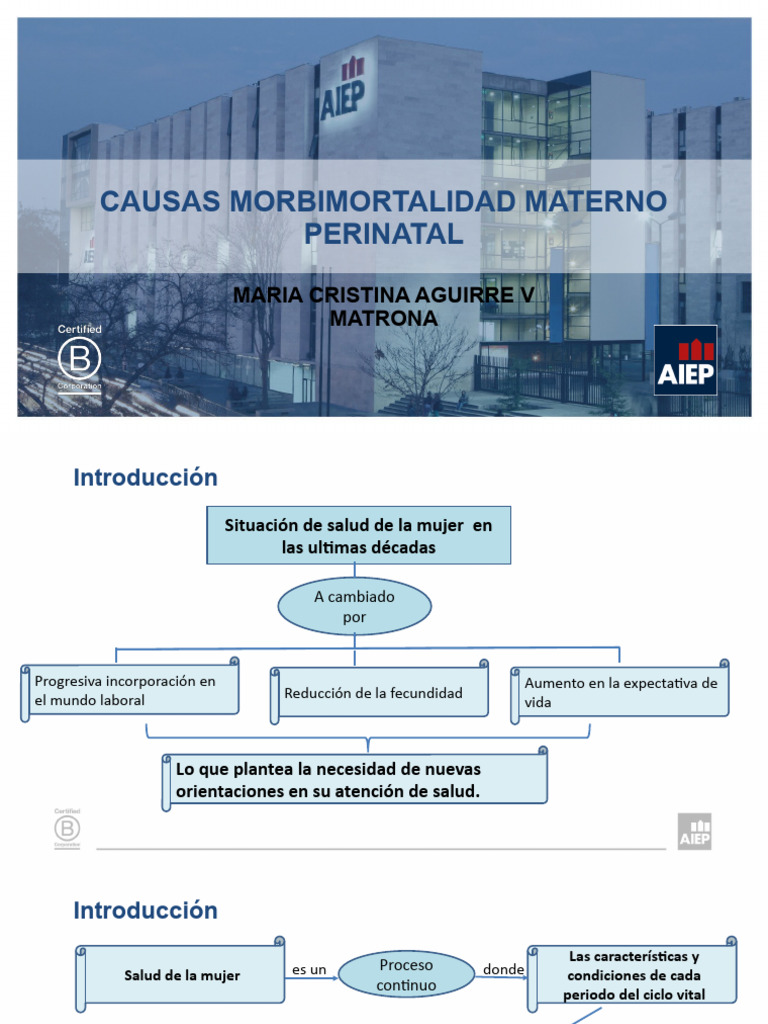 Causas de Morbimortalidad Materna y Perinatal-1 | PDF | Feto | Muerte ...