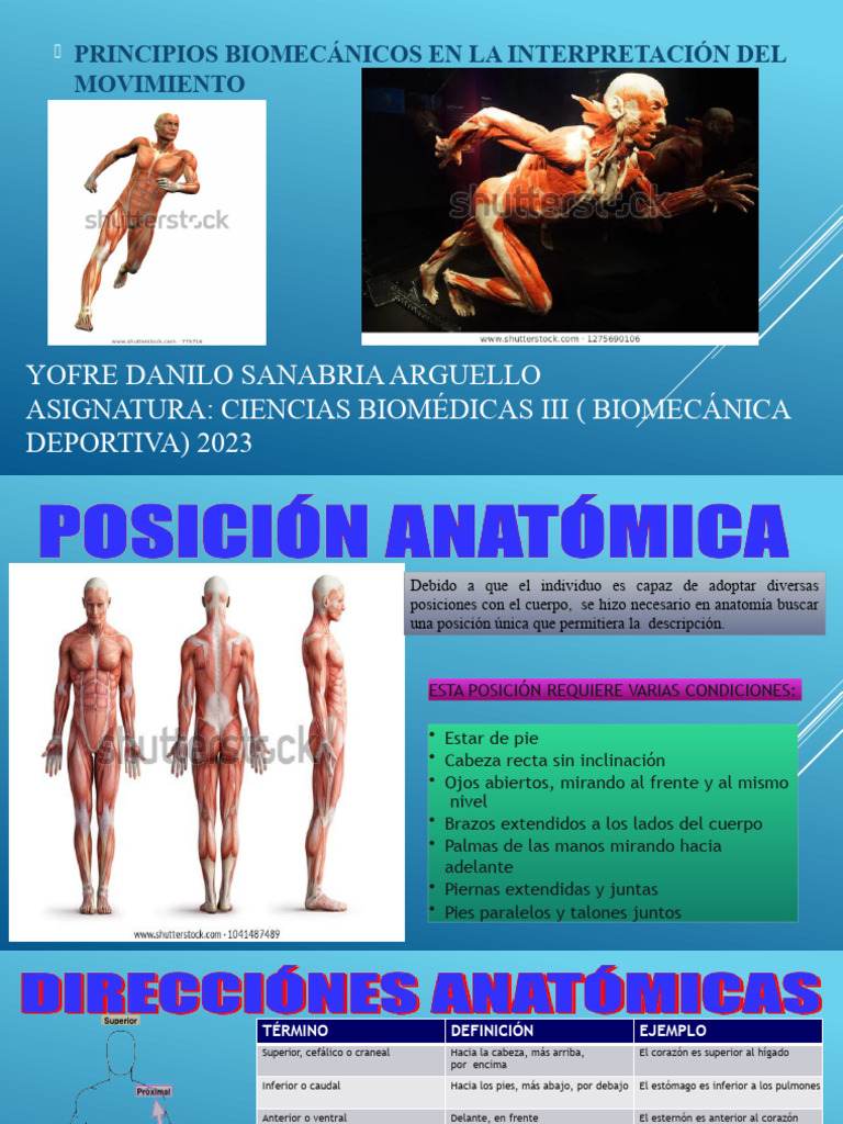 Principios Biomecánicos del Movimiento | PDF | Términos anatómicos de ...