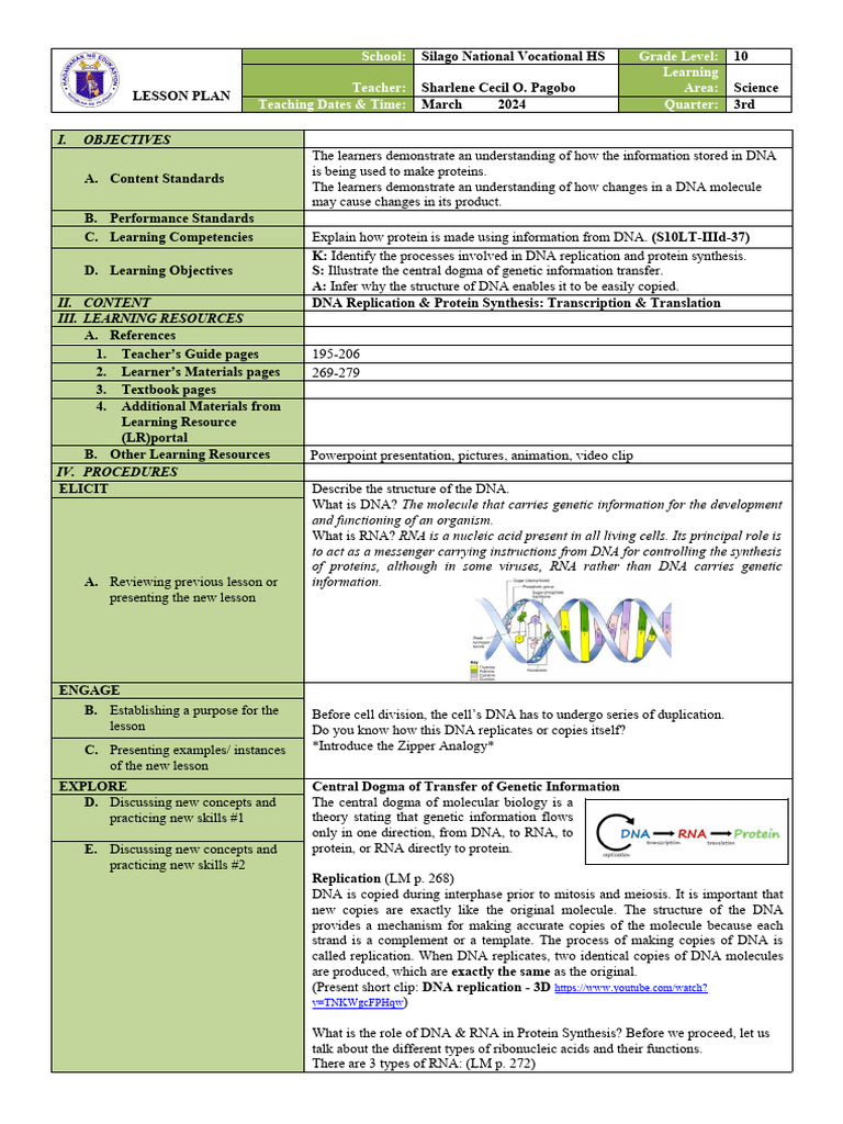 SCIENCE 10-DLP10-DNARep-Protein-Synthesis-Trsc-Trns | PDF | Translation (Biology) | Rna