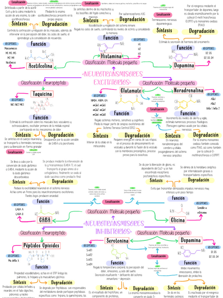 Neuro Transm I Sores | PDF | Sinapsis | Cerebro