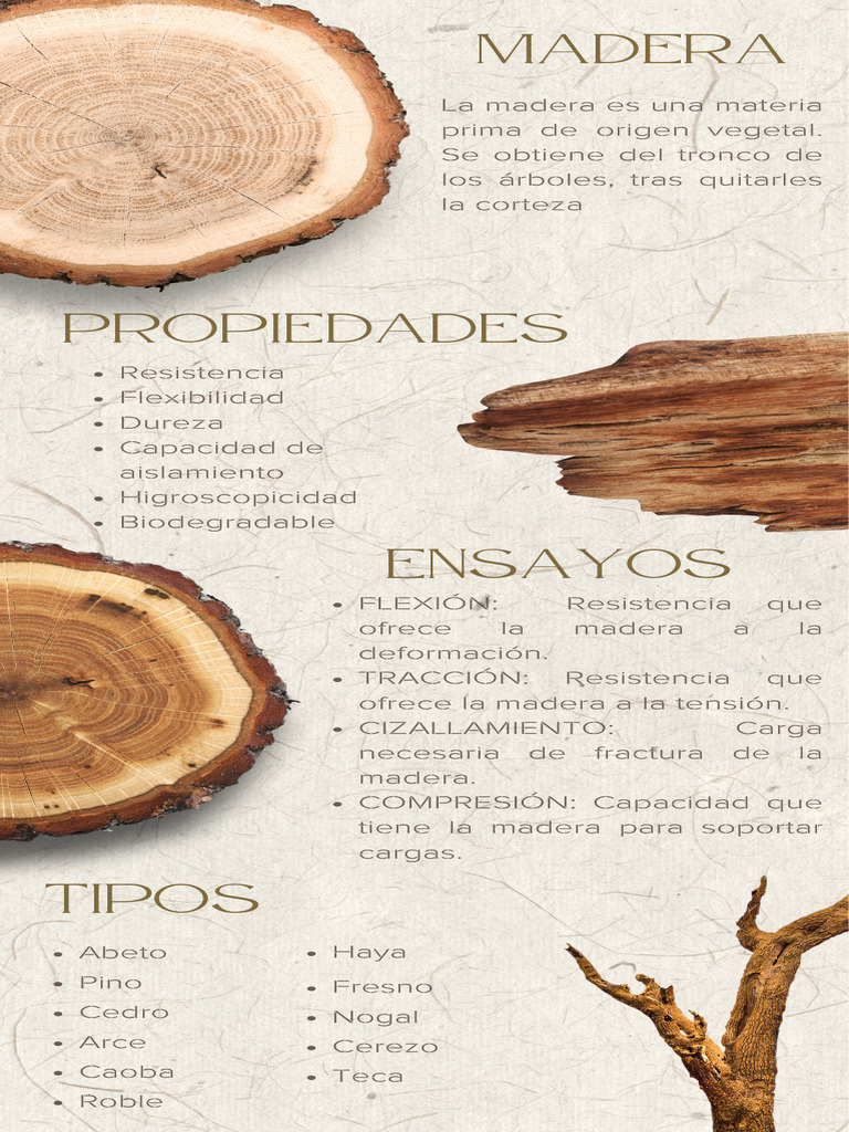 Propiedades y Tipos de Madera | PDF | Hogar, jardinería y bricolaje