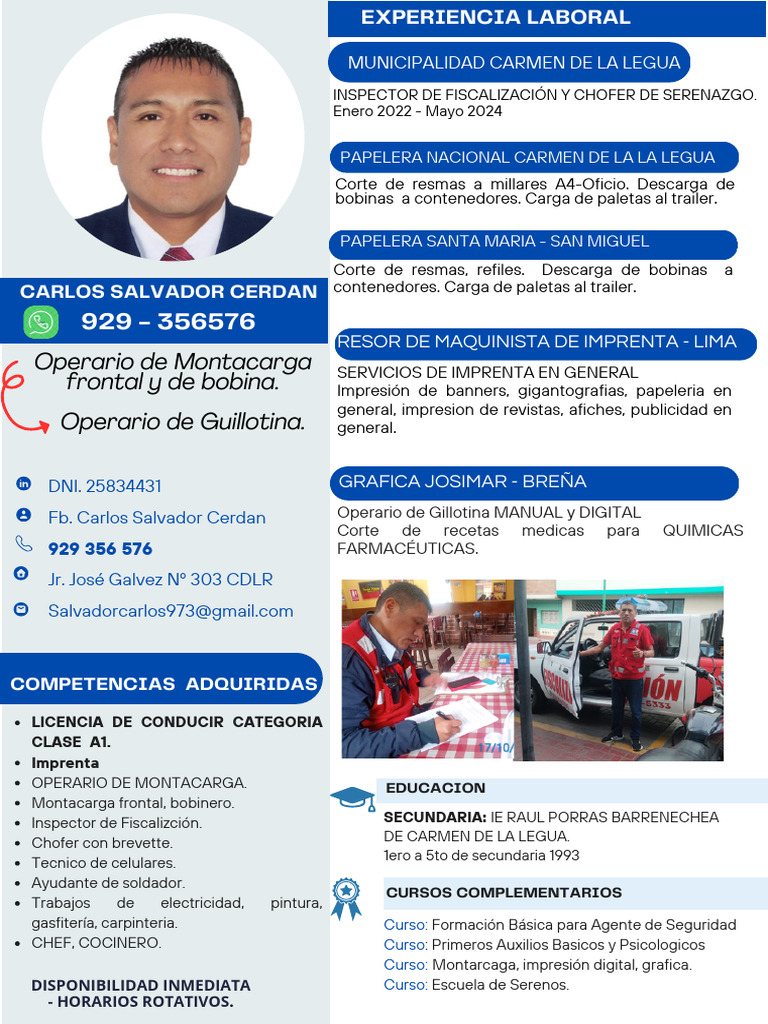 Perfil Laboral de Carlos Salvador Cerdan | PDF