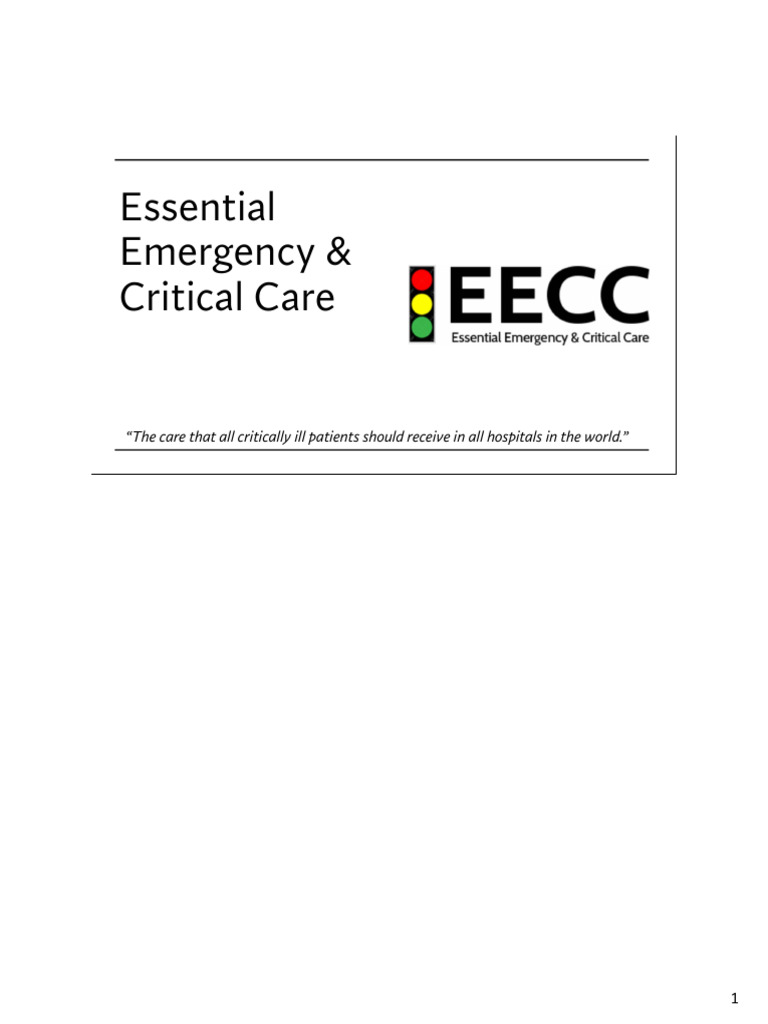 3 Eecc Care Abcde | PDF | Respiratory Tract | Breathing