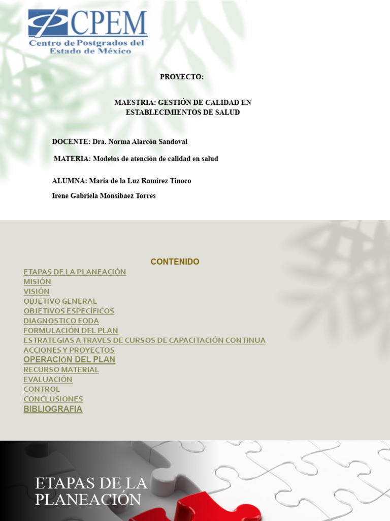 ETAPAS PLANEACION CPEM | PDF | Planificación | Hospital