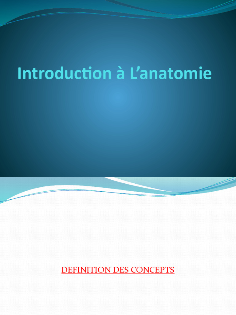 Introduction À L'anatomie | PDF | Pied | Membres (anatomie)