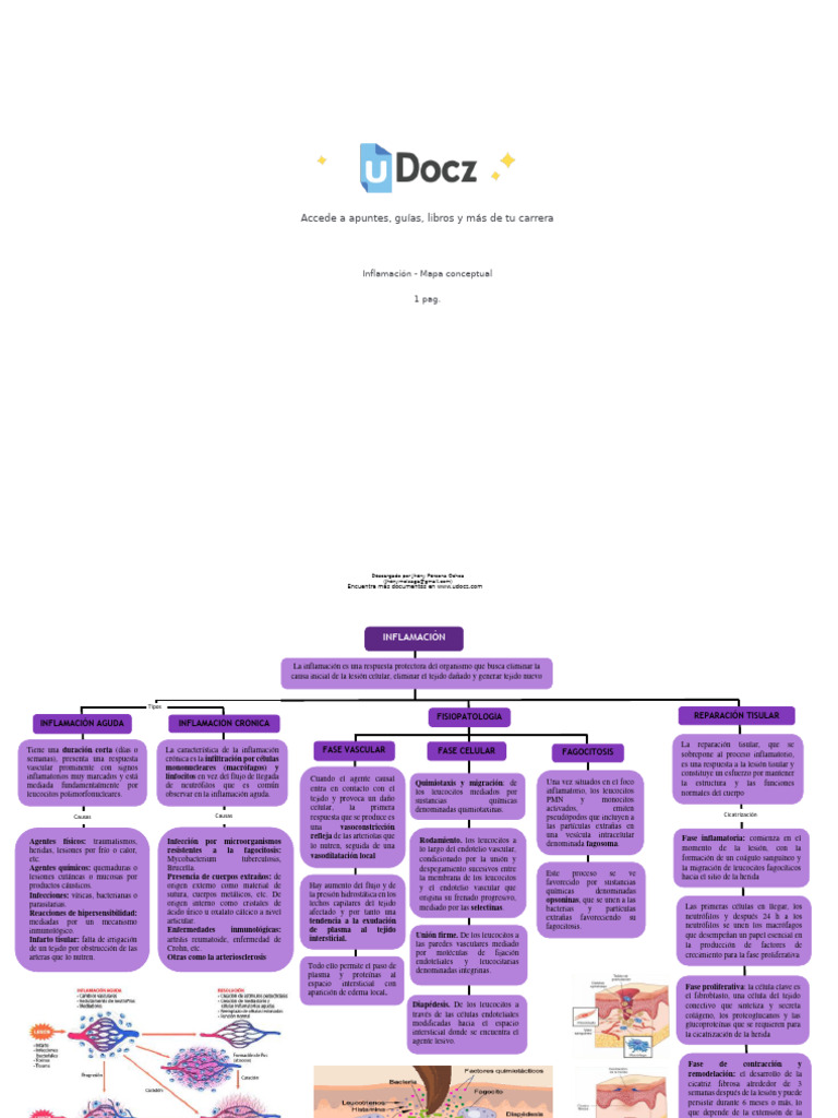 Mapa Mental Inflamación | PDF | Inflamación | Leucocito