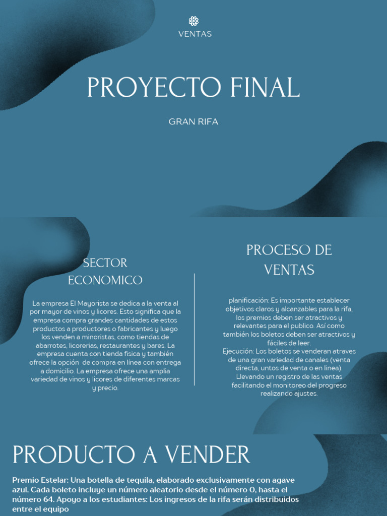 Proyecto Final Ventas RIFA | PDF | Business | Vino